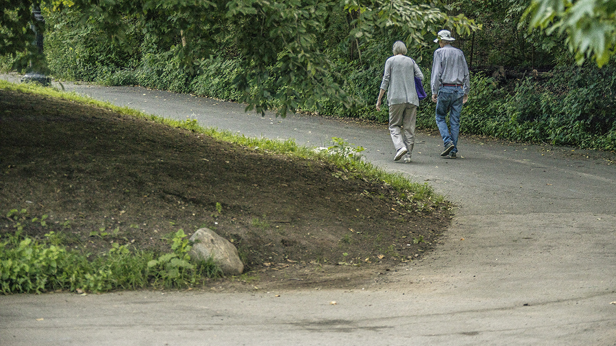 A Morning Stroll