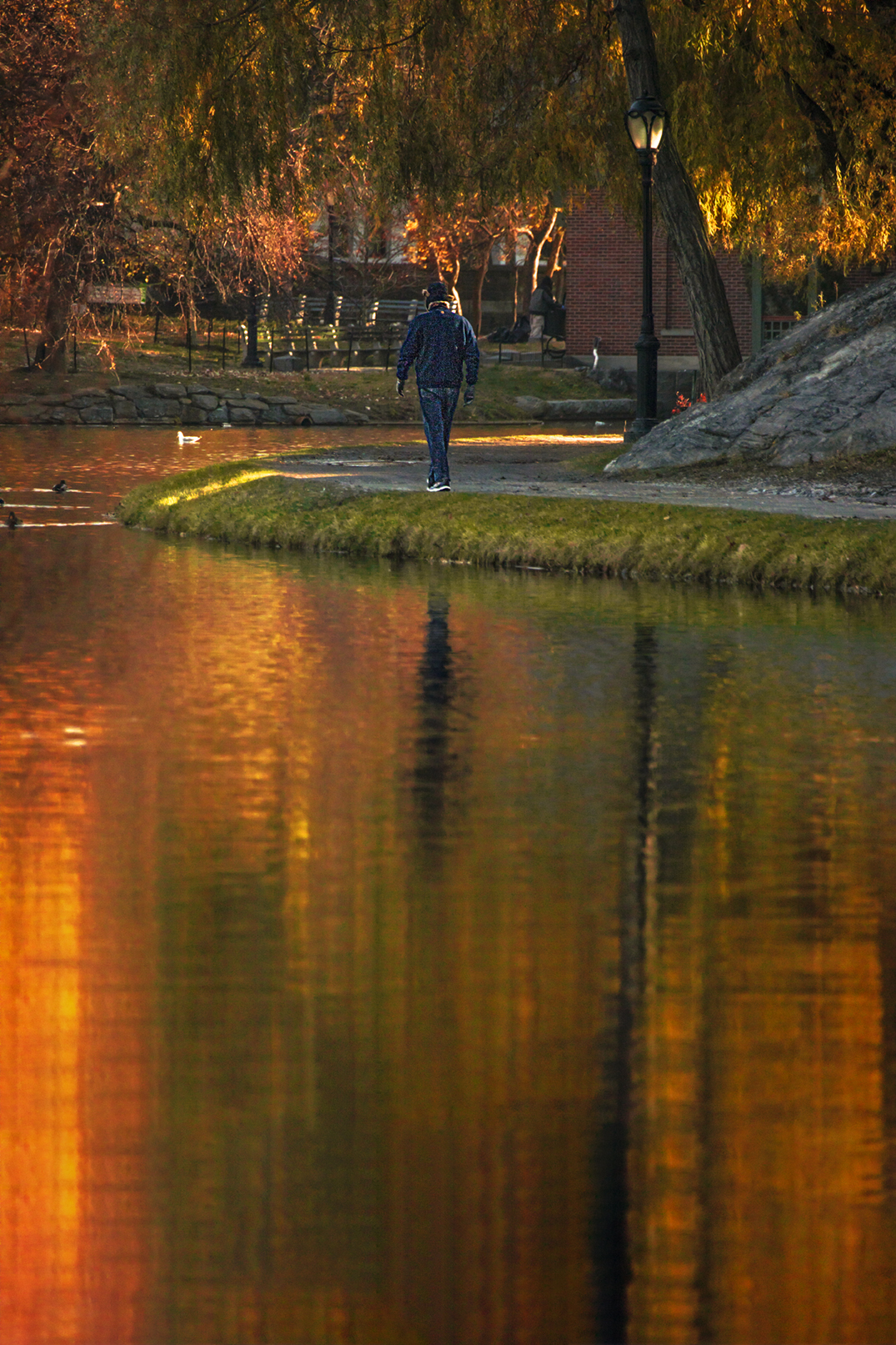 Golden Pond